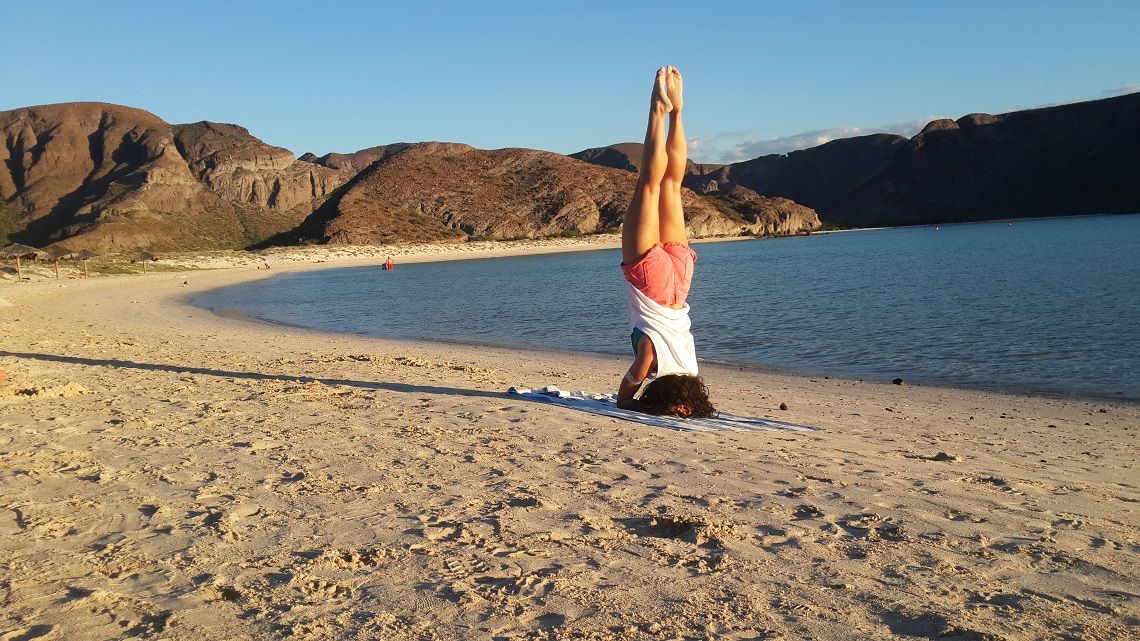 Ylsa Moreno, dinámica y activa