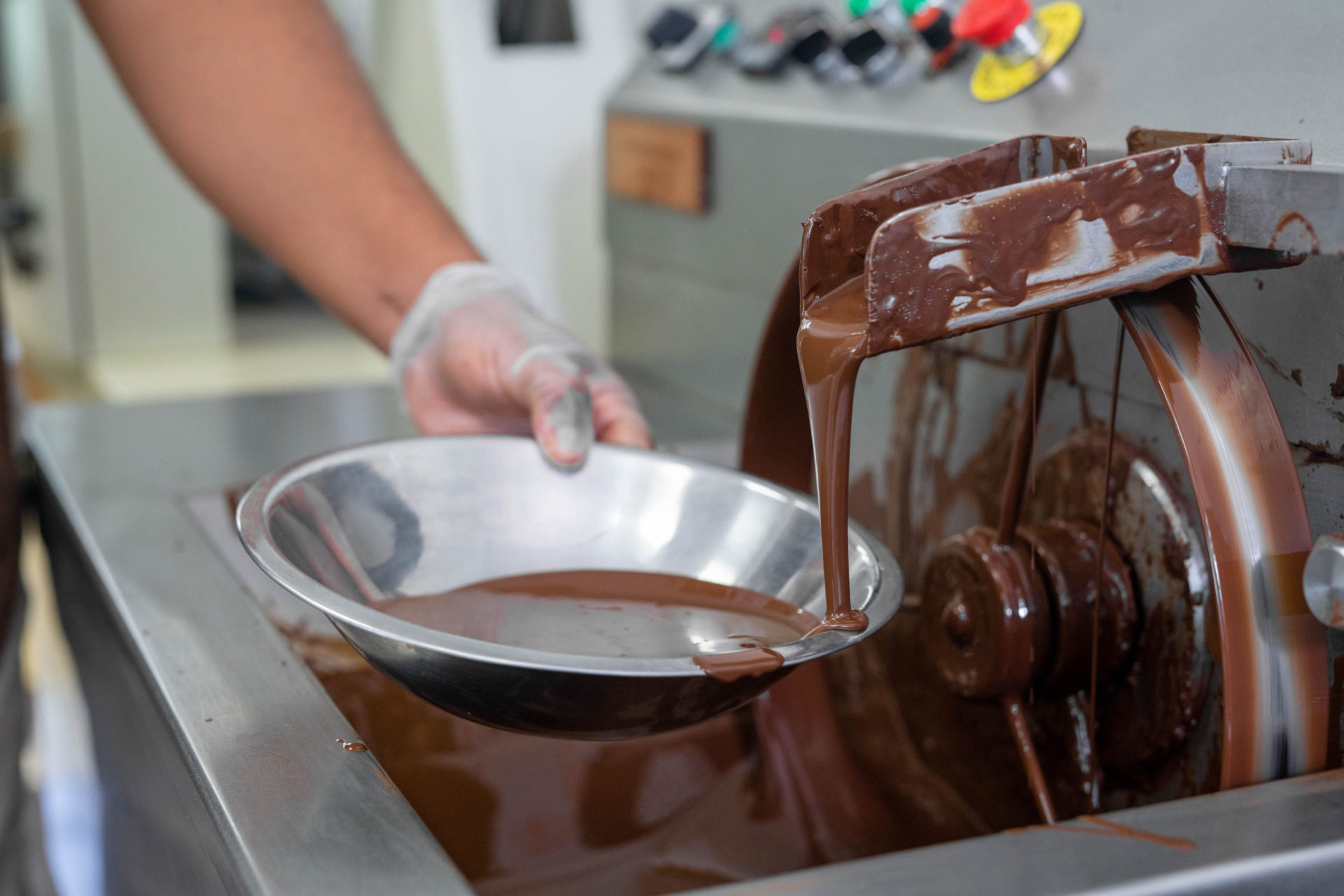 El arte del cacao dominicano