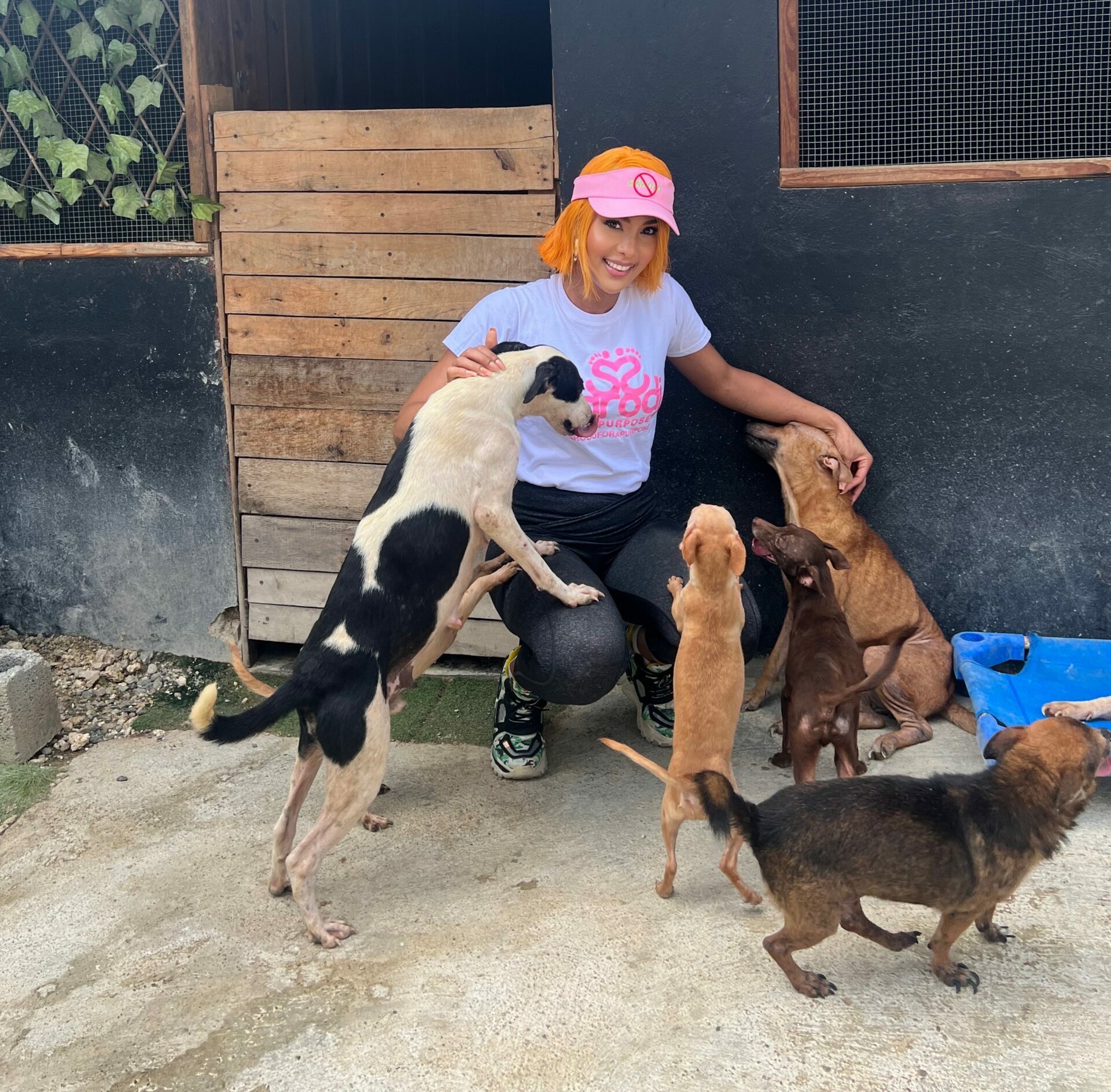 Sarodj Bertín realiza donación para refugio de animales rescatados