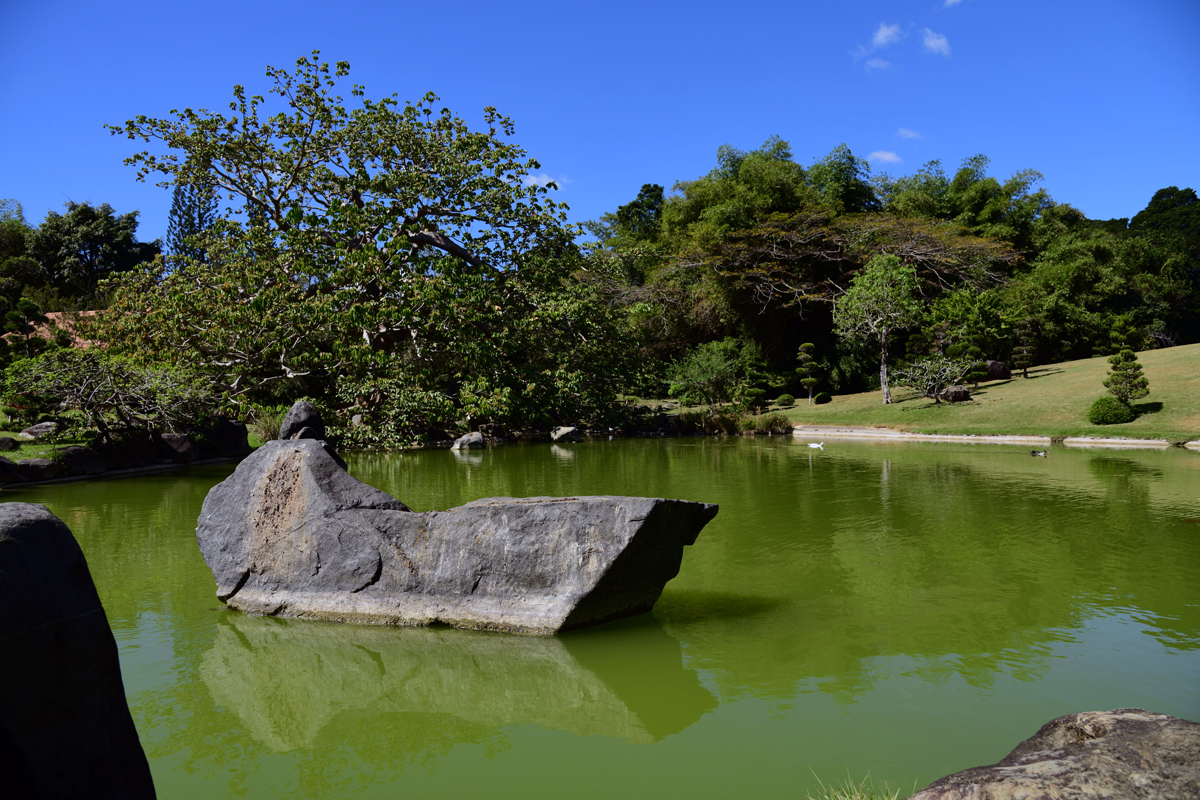 Tinglar: Un espacio novedoso digno de conocer