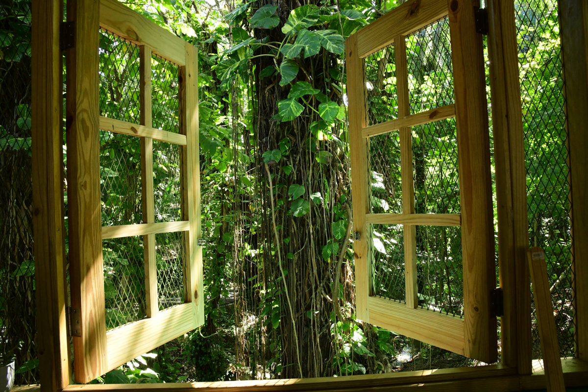 Tinglar: Un espacio novedoso digno de conocer