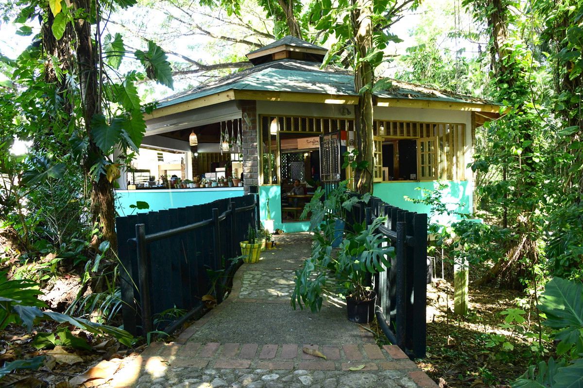 Tinglar: Un espacio novedoso digno de conocer